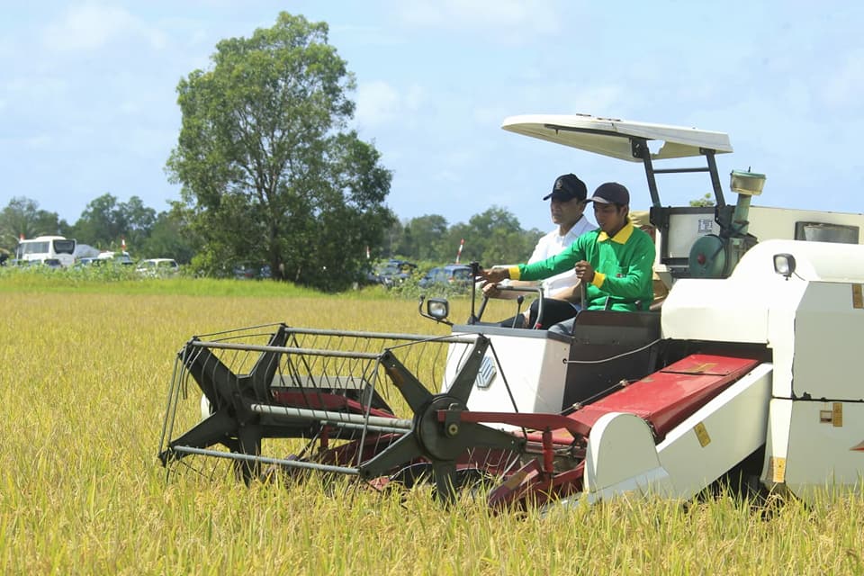 Dua Menteri Panen Padi di Merauke